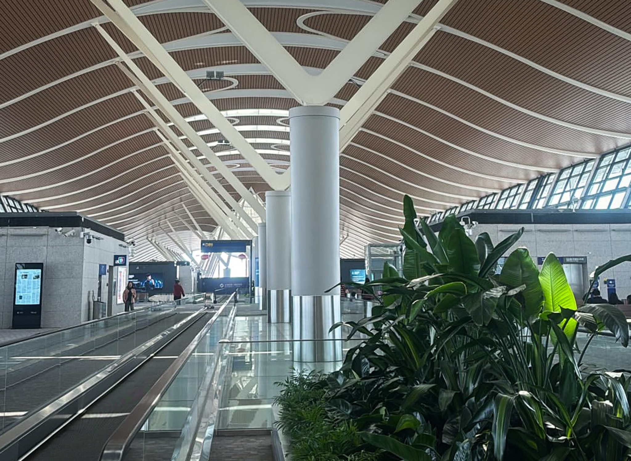 春節の上海で日本の友人が感じたこと～最新技術から街の雰囲気まで～ - TNCリサーチ＆コンサルティング